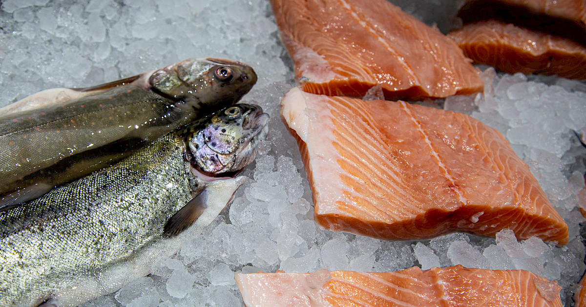 Sortiment – Fisch & Fleisch im Tiroler Oberland